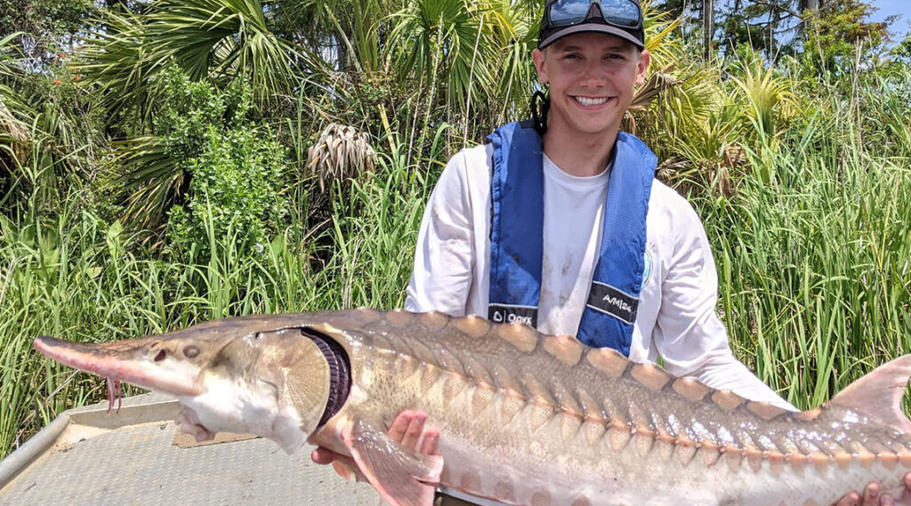 Freshwater science: Mentorship and insecticide insight | All In Wisconsin