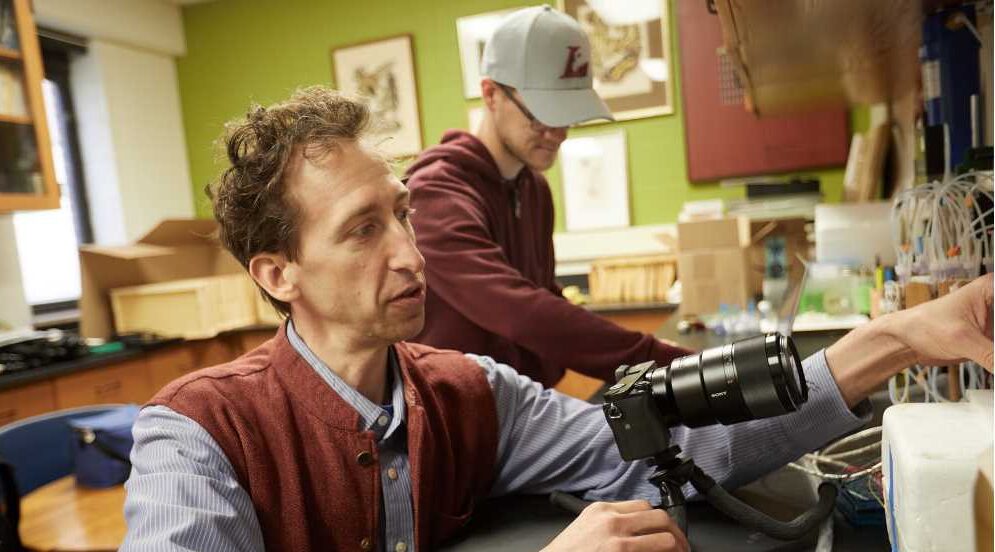 Insect inspiration: For UWL’s Barrett Klein, there’s beauty in every ...