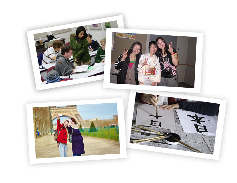 Collaborative Language Program