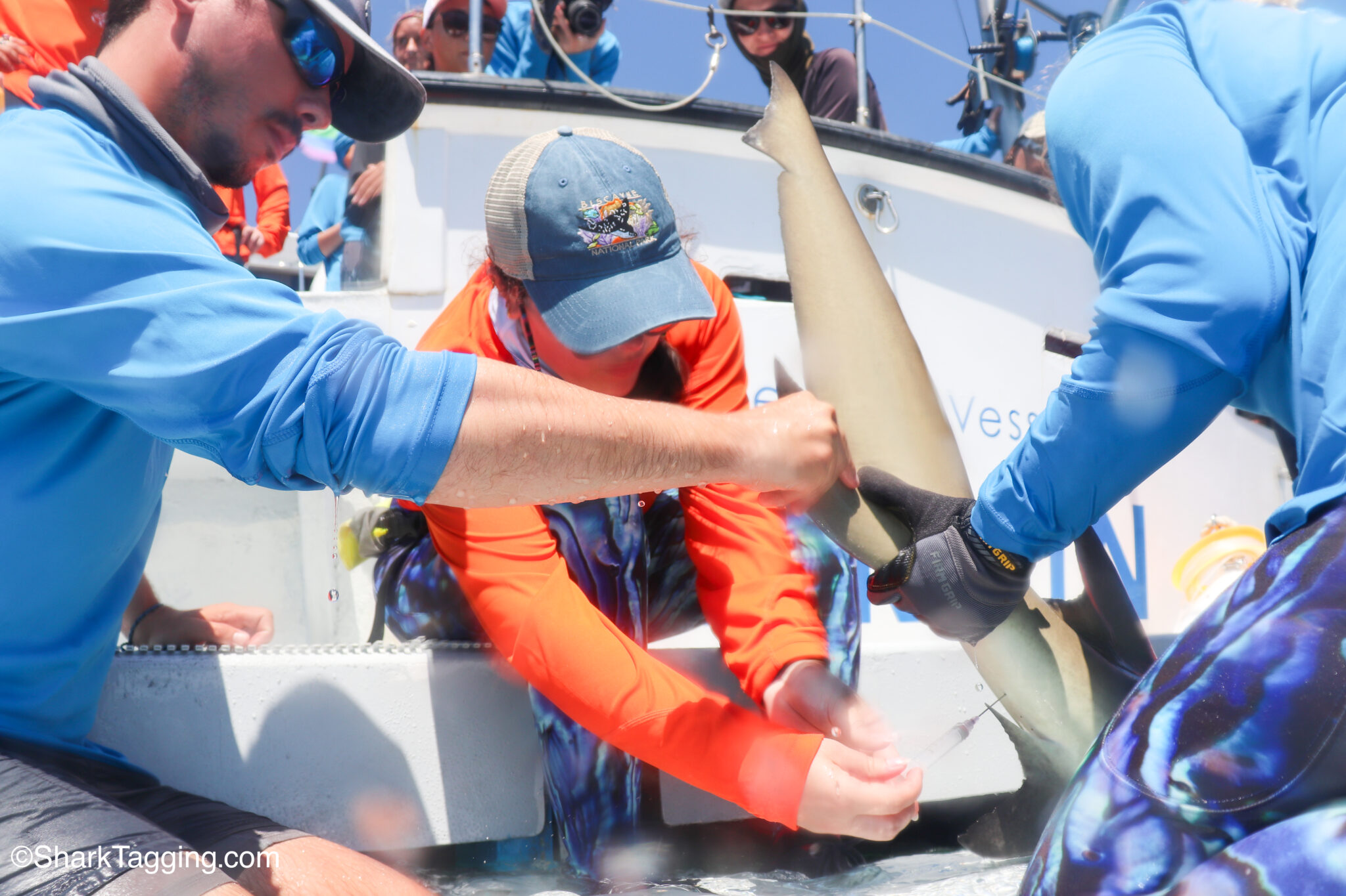 Elise R. | Fuel Futures